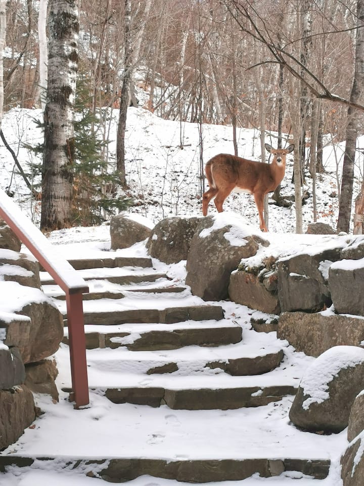 Oh The View! Ski In/out Walk Or Shuttle To Village - Mont-Tremblant