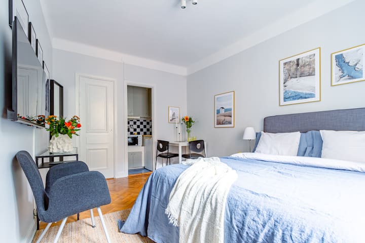 Snug Studio In Popular Area - Stockholm