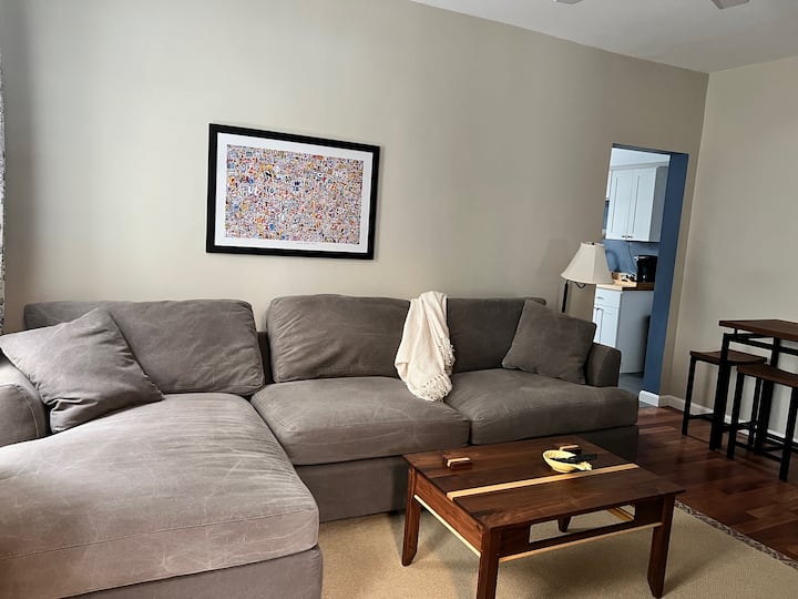 Modern, Clean, Cozy, Super Close To Church Street! - Burlington, VT