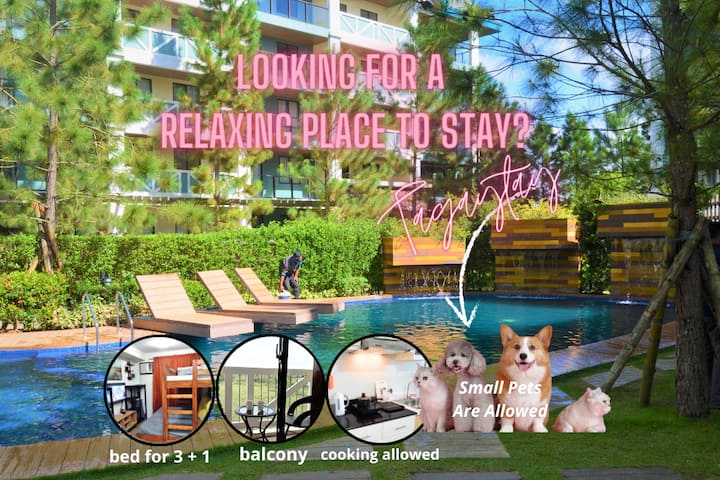 Petfriendly, Fast Internet 4pax Netflix@pinesuites - Amadeo