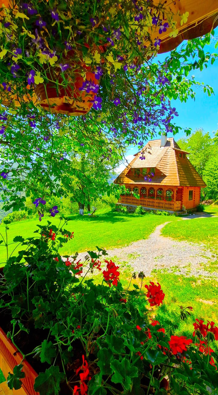 Loc De Tihnă - Transylvania