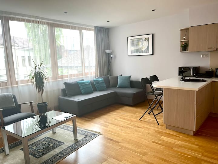 Romantic Old Town Apartment - Kaunas