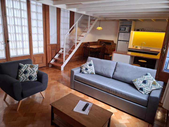 Confortable Loft Vintage Con Excelente Wifi - Montevideo