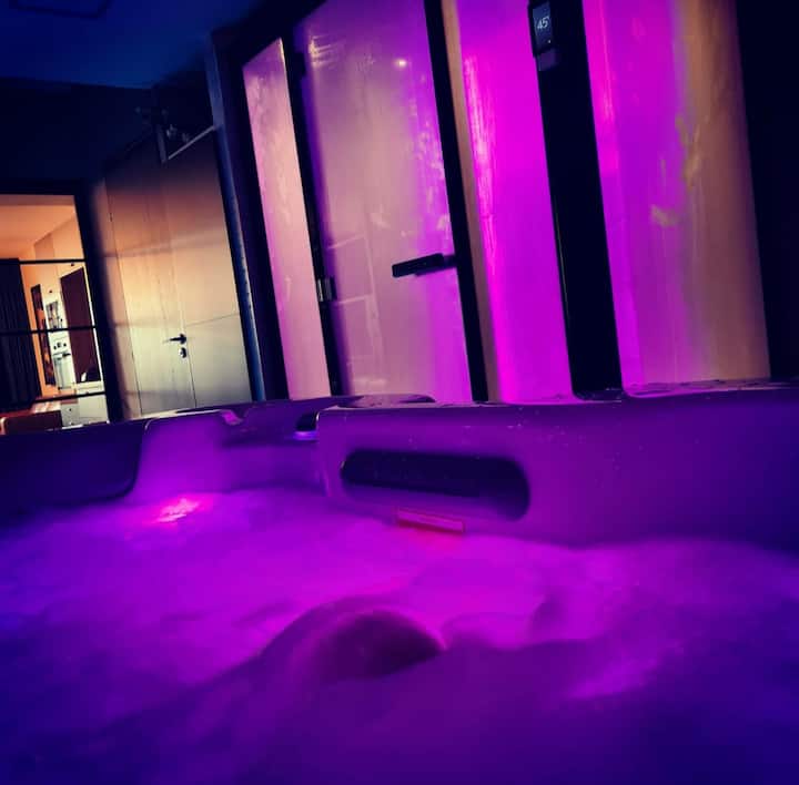 Appartement Spa Haut Standing Avec Sauna, Hammam - Reims