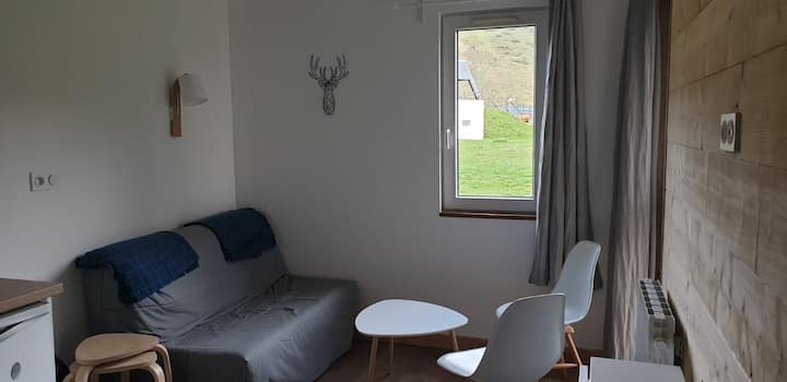 Val Louron Appartement Pied Des Pistes 4 Pers - Loudenvielle