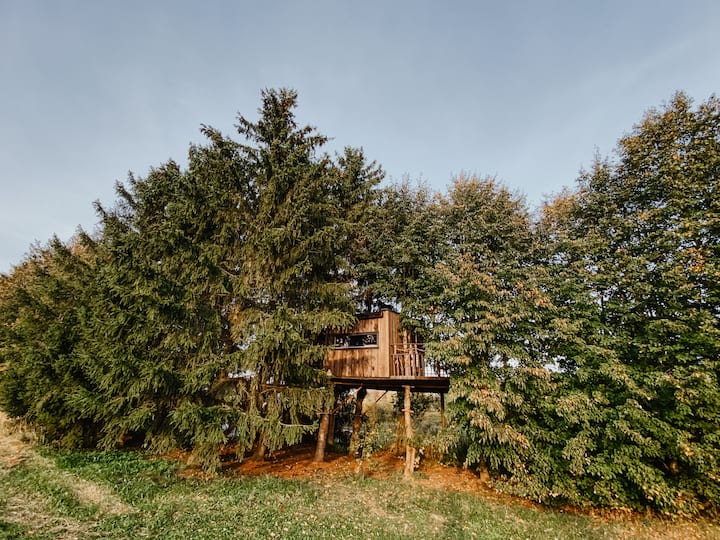 The Bird's Treehouse - Lithuania