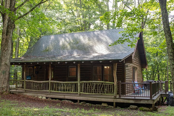 Snowshoe Log Cabin- Two Fawns - Seneca State Forest, Dunmore