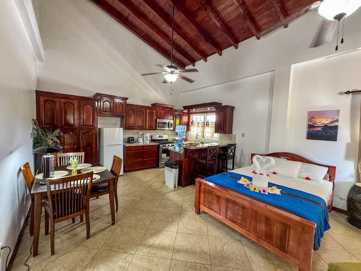 Manatee Caribbean Village Studio Apartment - Belize