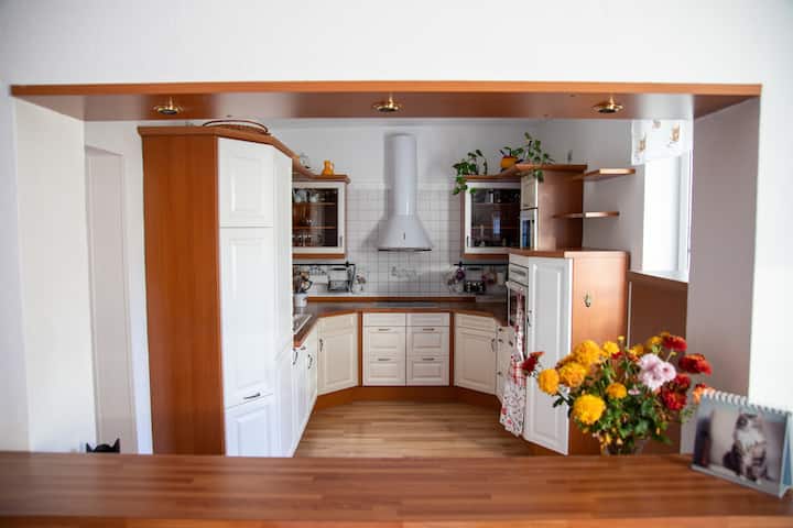 52qm-wohnung Mit Kamin Und Großer Küche - Rostock