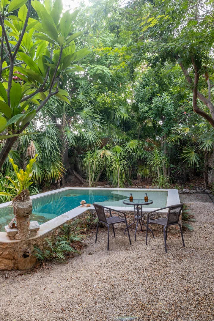 Casa Dos Ceibas - Upgraded Wifi - Yucatan