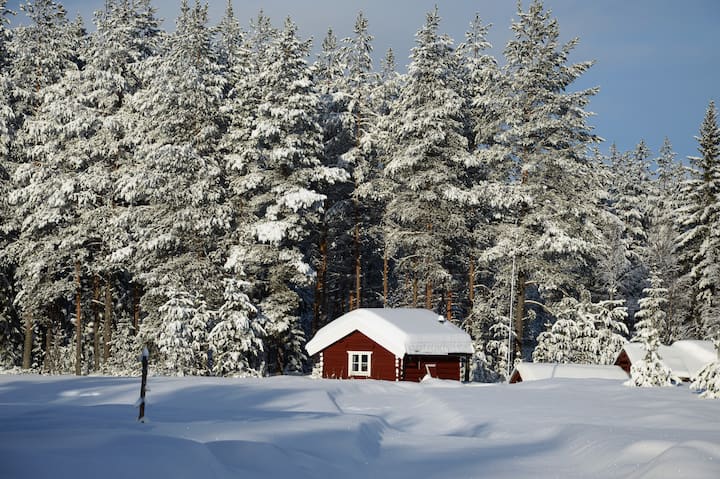 Hytte Uten Internett, Strøm, Vann-men  Med  Utedo - Trysil