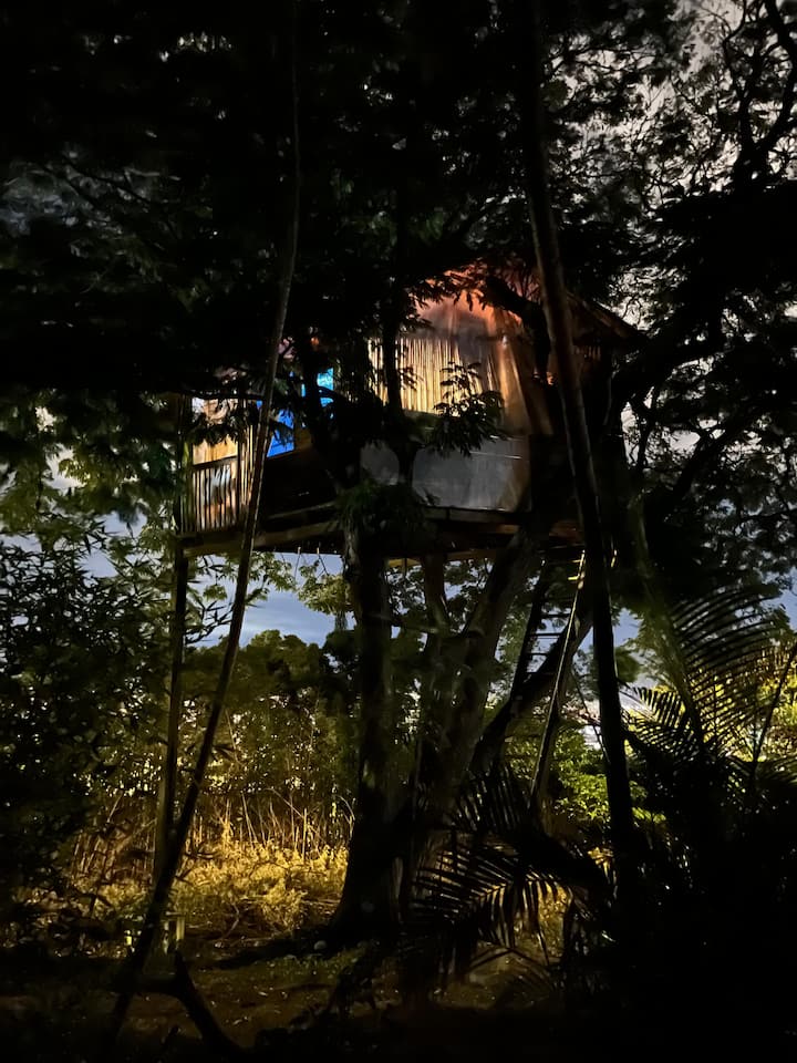 Mini Treehouse, Romance And Amazing View - Colombia