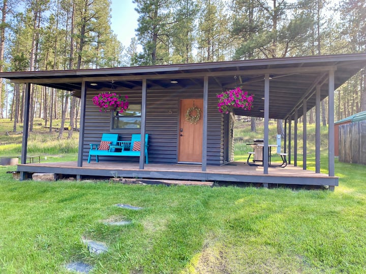 Horse Creek Resort- Cabin 5 - Hill City, SD
