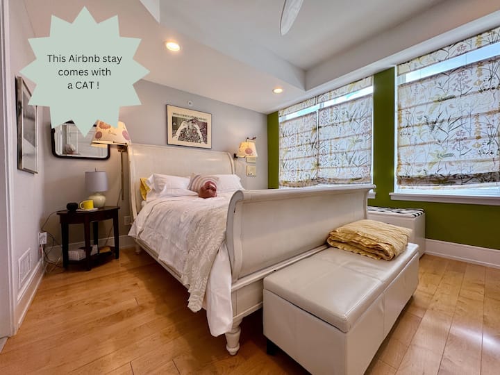 Bright, Quiet Guest Room. Central&safe, And A Cat! - Camden, NJ