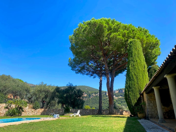 Mas Provencal Dans Une Oliveraie De 2,3 Ha - Grasse