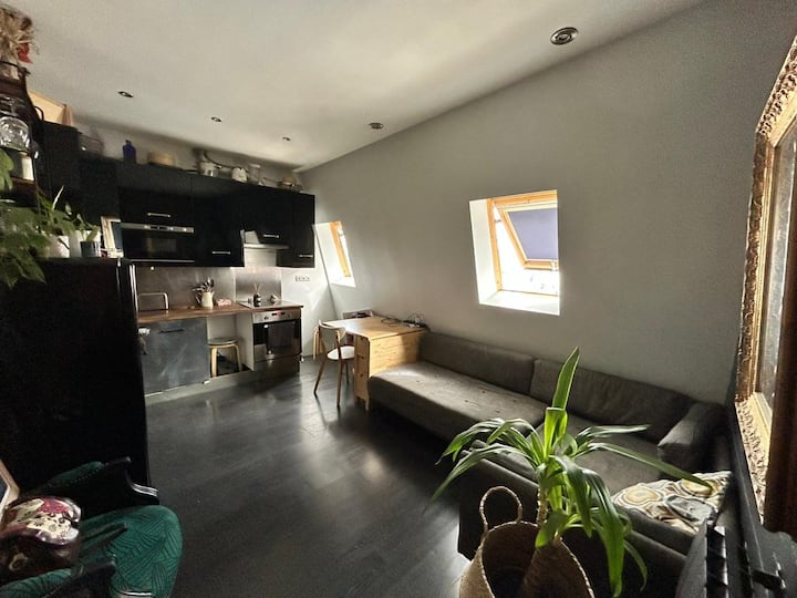 Bel Appartement Sous Les Toits De Paris - Paryż
