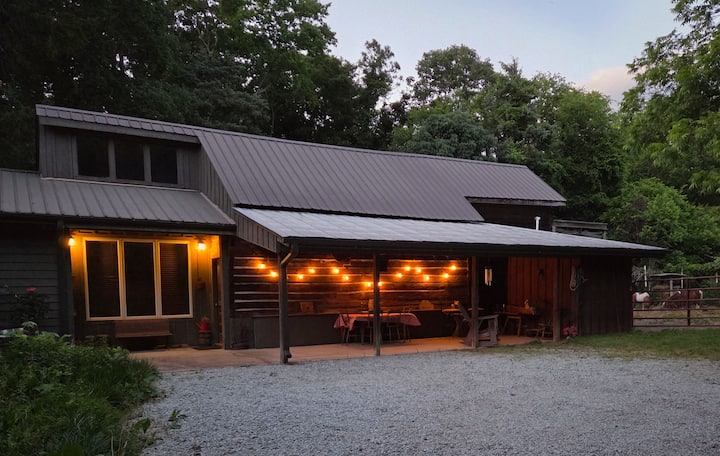 Ponies In The City! Retreat To The Cabin Mini-farm - Durham, NC