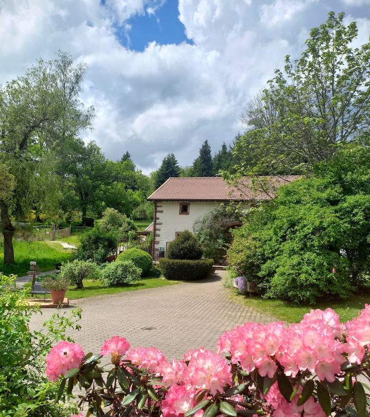 Le Domaine Des 4 Saisons " La Petite Ferme" - Corcieux