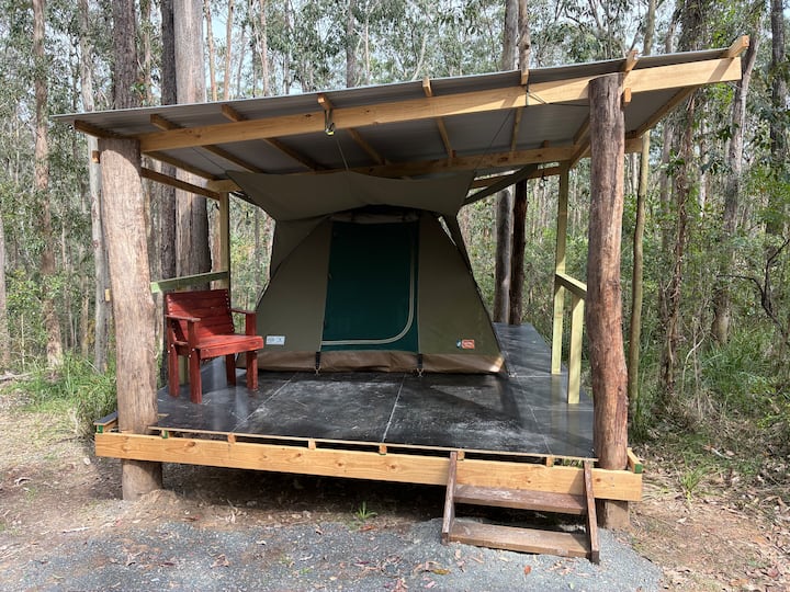 Timon: Camping In Ready-made Tents - ハンター・リージョン