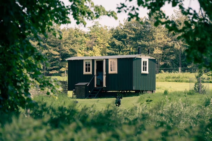 Martha, Rural Hut Close To Picturesque Village - Wantage