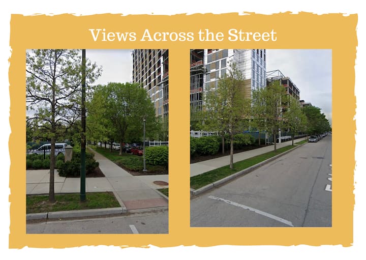 Bright Vintage University Center Condo - Roseland - Chicago