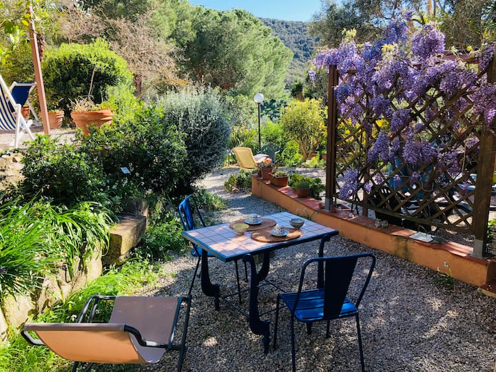 Il Borghetto Sul Golfo Casa Timo - Portoferraio