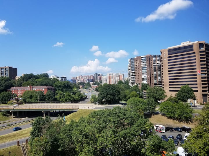 Junior 1br Overlooking Arlington - Arlington, VA