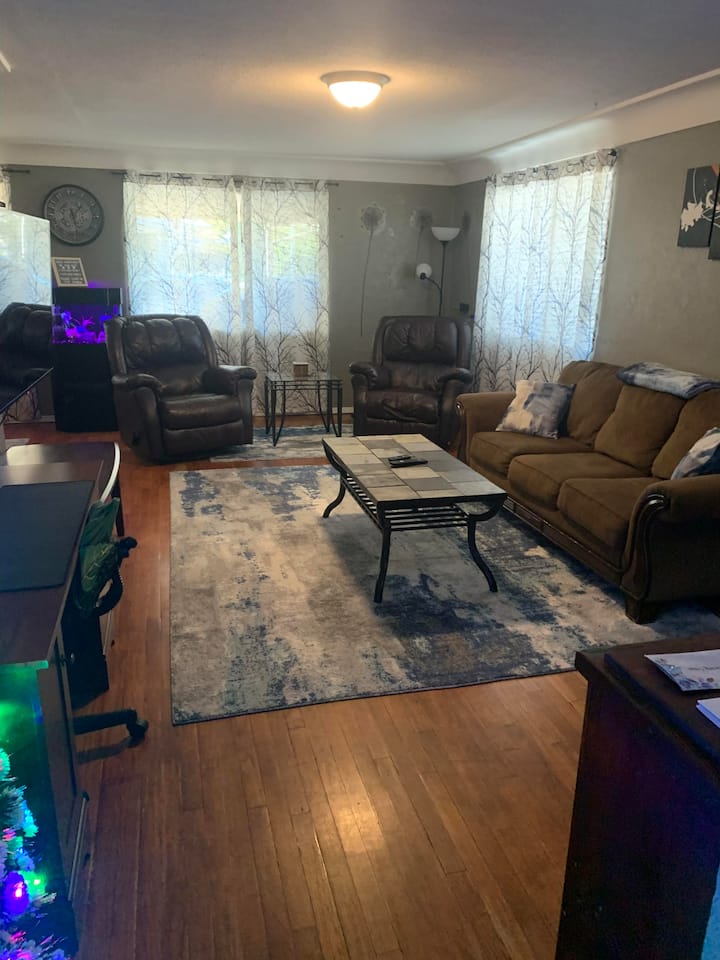 Yellow Brick Home! Huge Yard! Beautiful Home - Carlsbad, NM