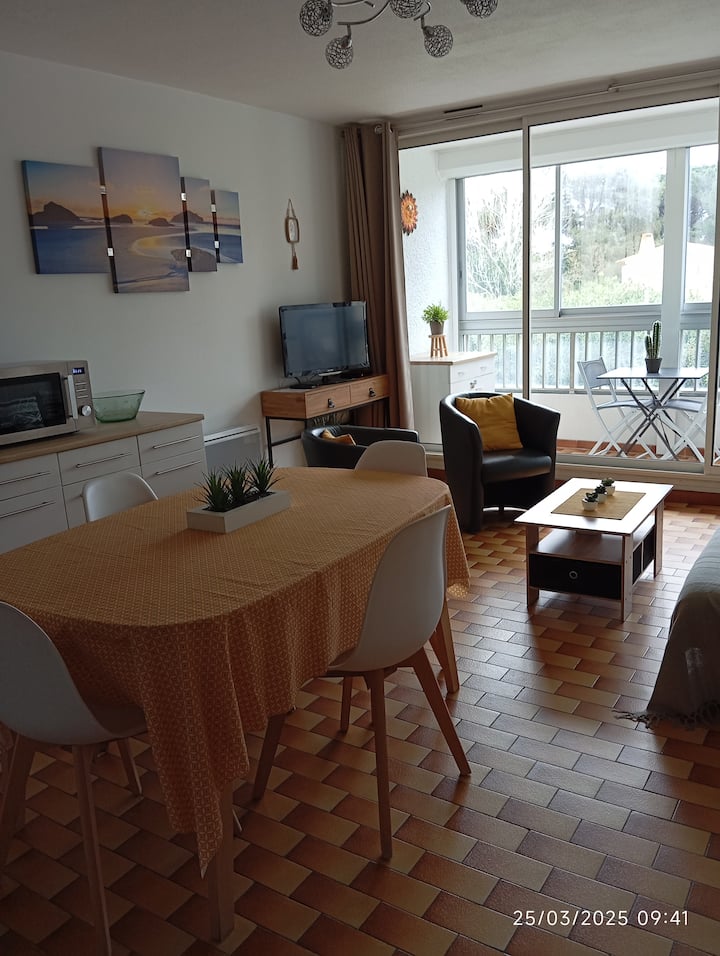 T3, Parking Privé, 49m2 ,400m Plage,clim Mob - Saint-Cyprien