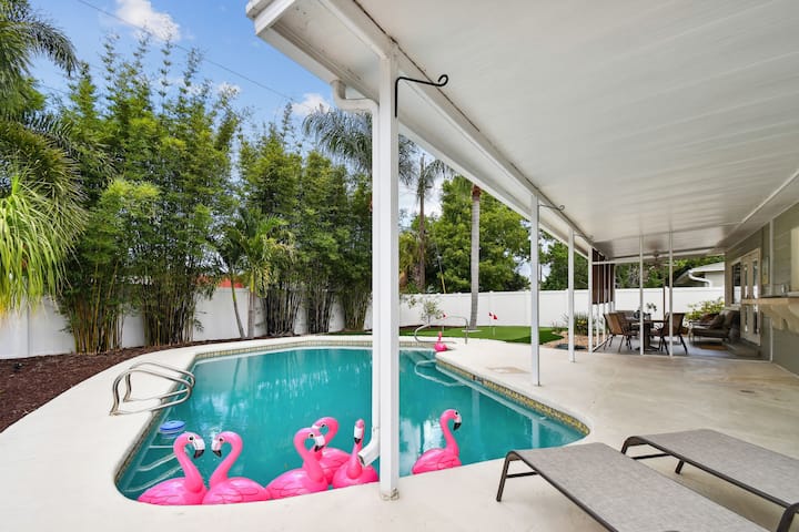 Peacock Cottage -Tropical Pool Home - St. Petersburg, FL