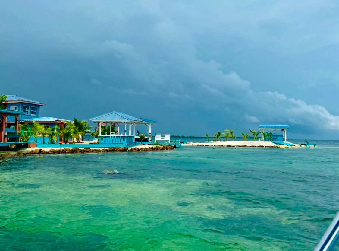 Bird Island 2025: a unique island experience. - Islands for Rent in ...