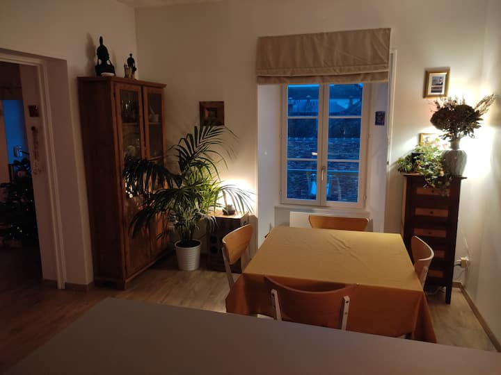 Charmant Appartement Très Bien Situé
  De 50 M2 - Fontainebleau