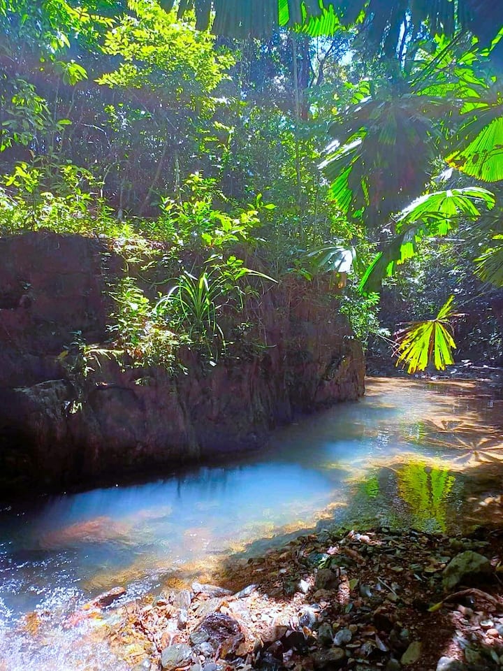 Peaceful Rainforest Glamphut - Daintree
