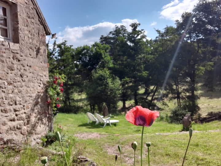 Charmant Moulin, Calme, Riviere, Piano - Commentry