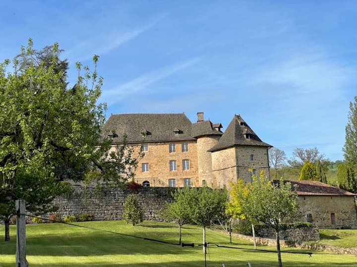 ÉLégant Château à La Campagne Au Confort Moderne - Lac du Tolerme