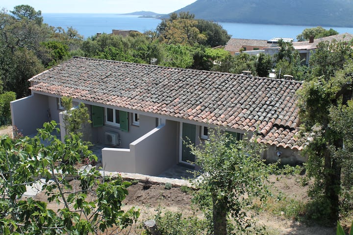 Appart2/3 Pers 1 Ch - Porto-Vecchio