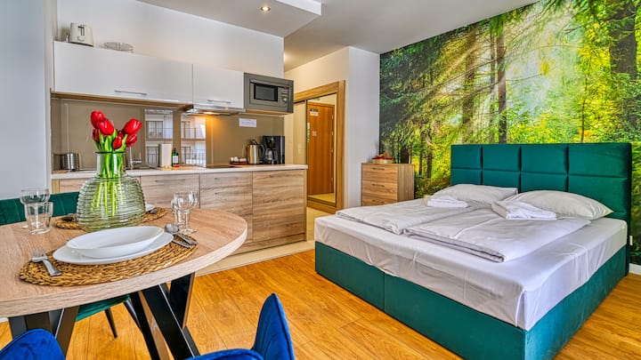 Sun & Snow Resort Izery, Apartament 252 - Szklarska Poręba