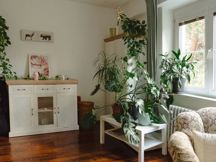 Small & Cozy - Bratislava