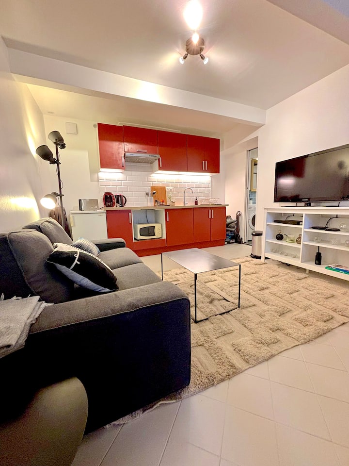 Appartement Avec Terrasse - La Plaine Saint-Denis