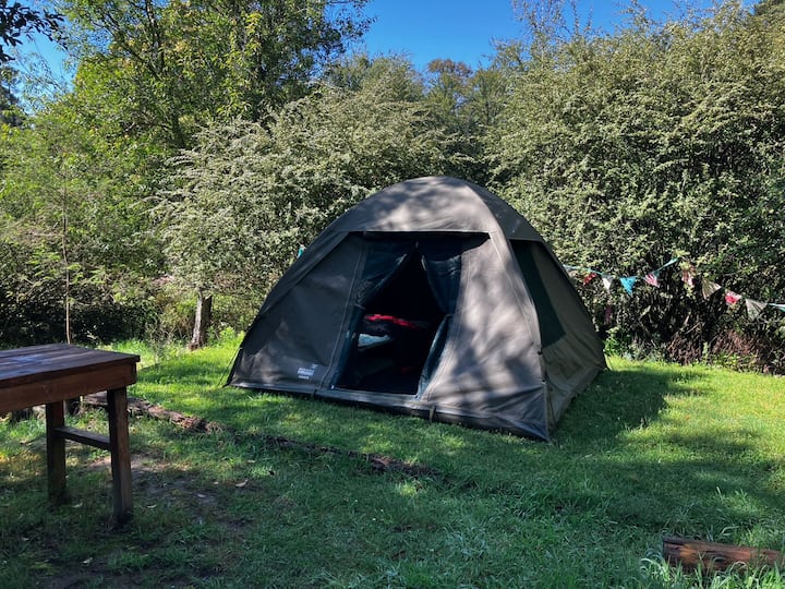 Wild Fox Hill Eco-campsites - Hogsback