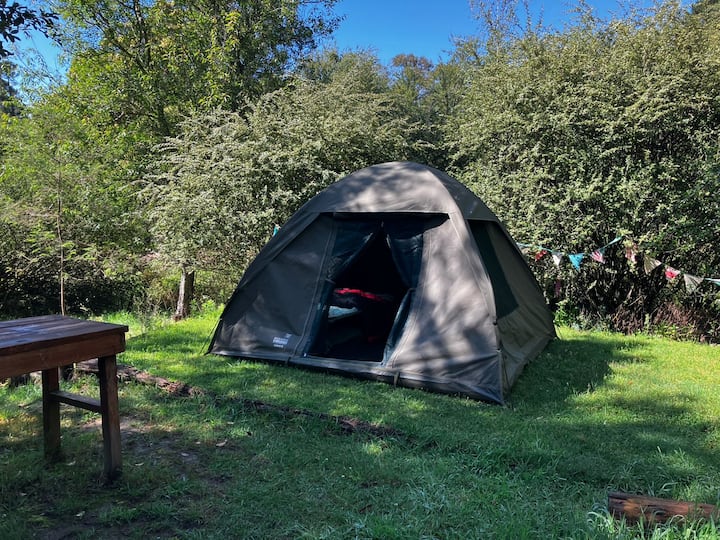 Forest Canary Camp - Hogsback