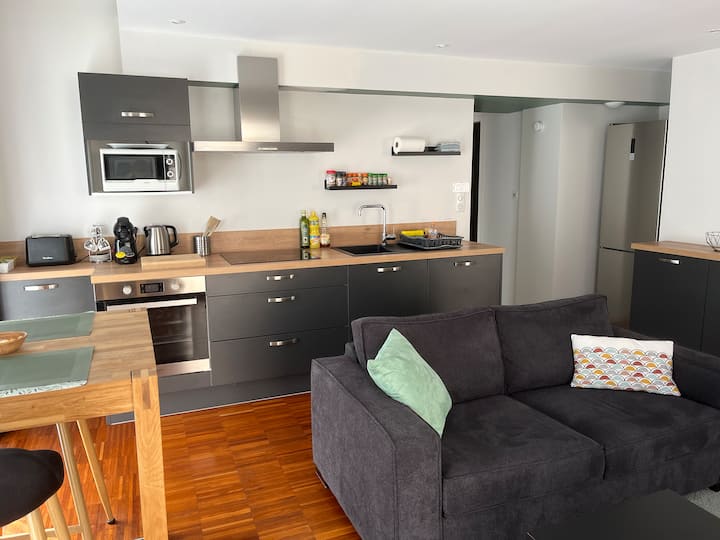 Paillemaille, Lumineux Confortable, 8' Place Stan - Nancy