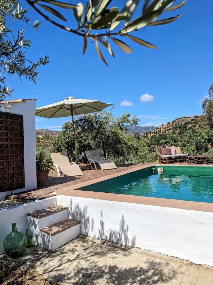 Finca Los Natachos - Coín