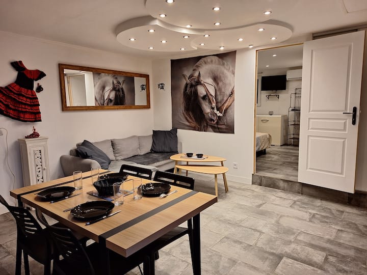 Villa Atypique 8 Pers - Parking - 25 Mn Des Plages - Calvisson