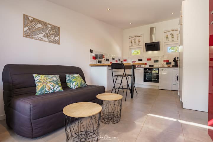 Gite En Cayre Parenthèse Nature - Revel St Férréol - Revel