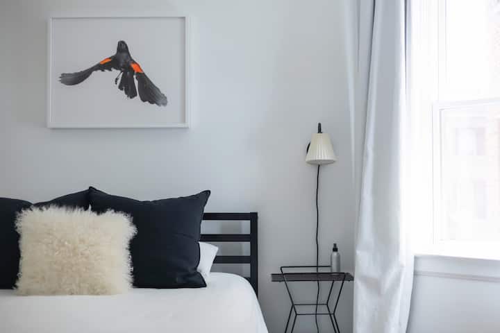 Plants And Art: Near Best Restaurants & Bars - Edgewater Beach - Chicago