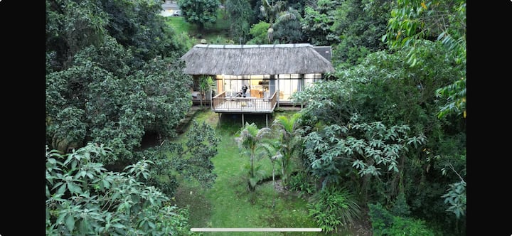 Forest Getaway In Pietermaritzburg - Hilton