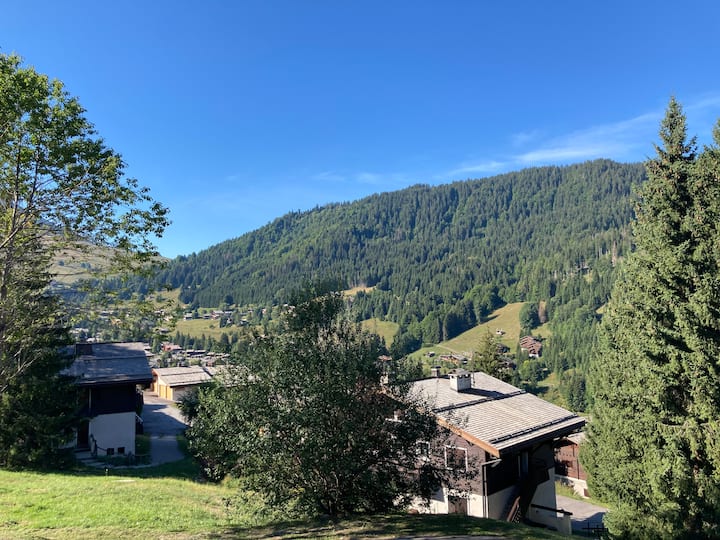 Apt 6 Pers, Proche Activités & Loisirs D'été, Wifi - La Clusaz