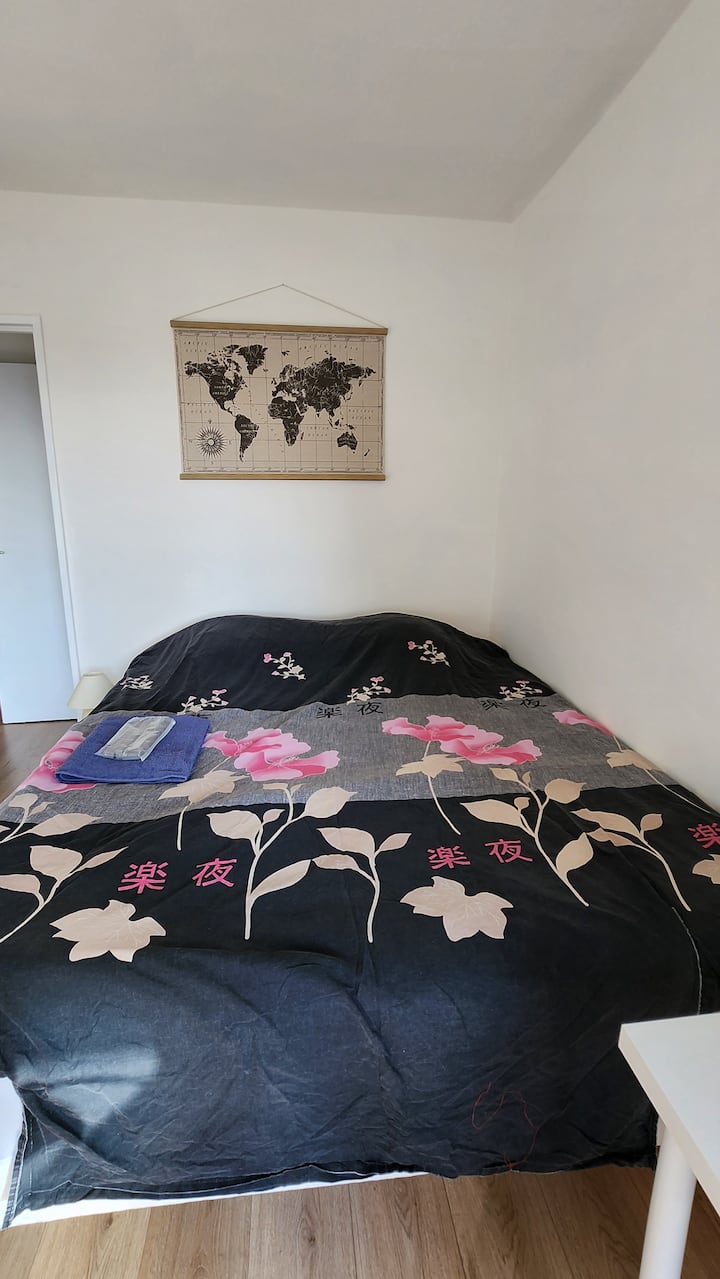 Chambre Lumineuse Avec Balcon Et Vue - Bagnolet