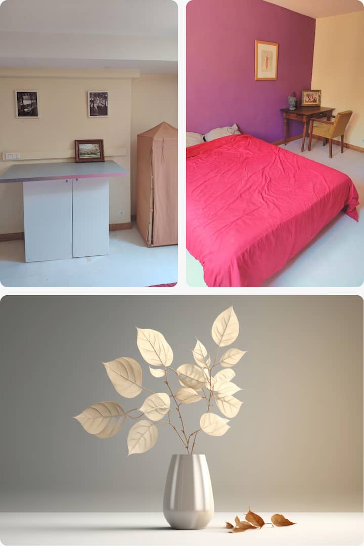 Chambre Au Calme Pour Travailleurs - Voiron